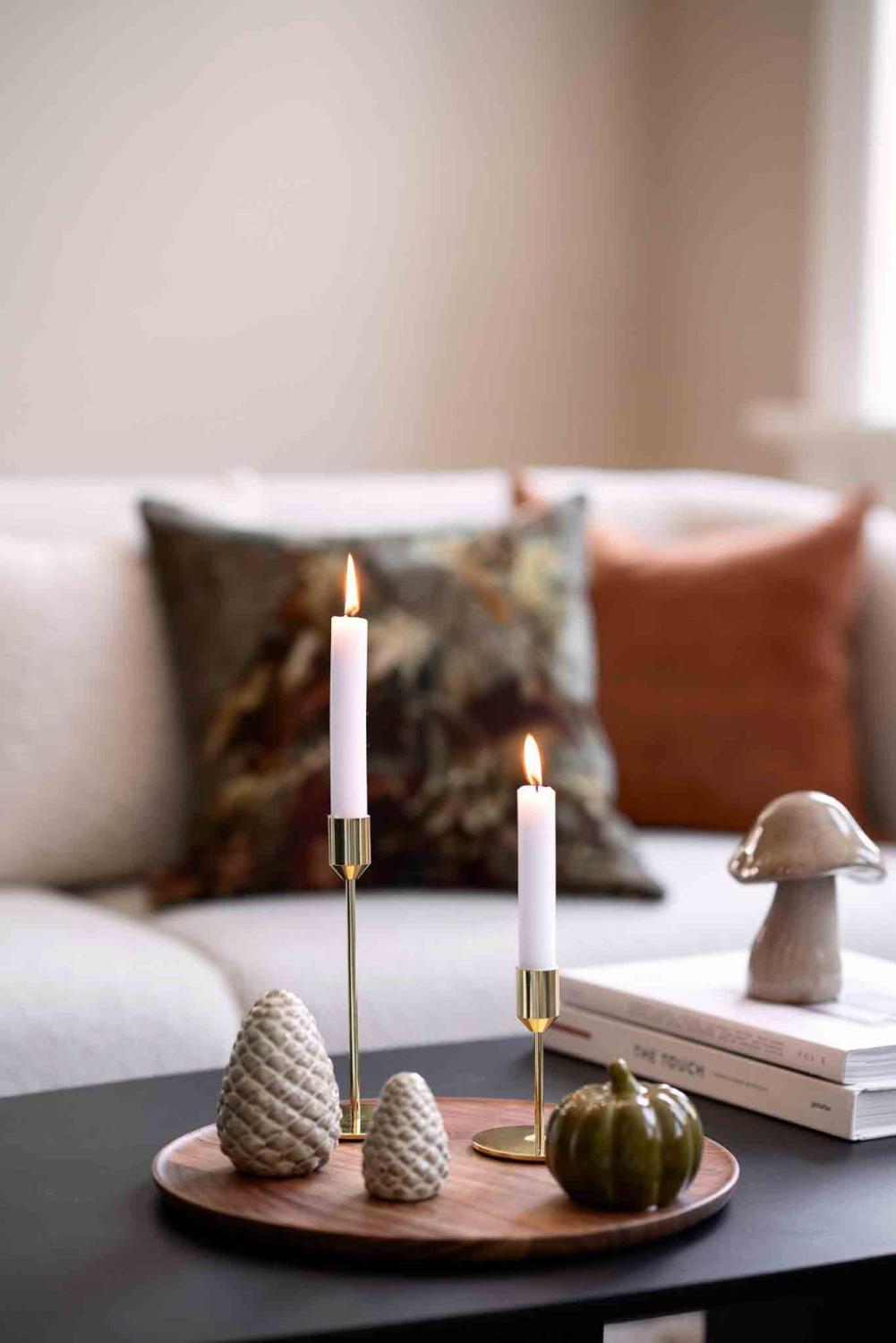 Lysfat Alocasia 34cm | Kremmerhuset